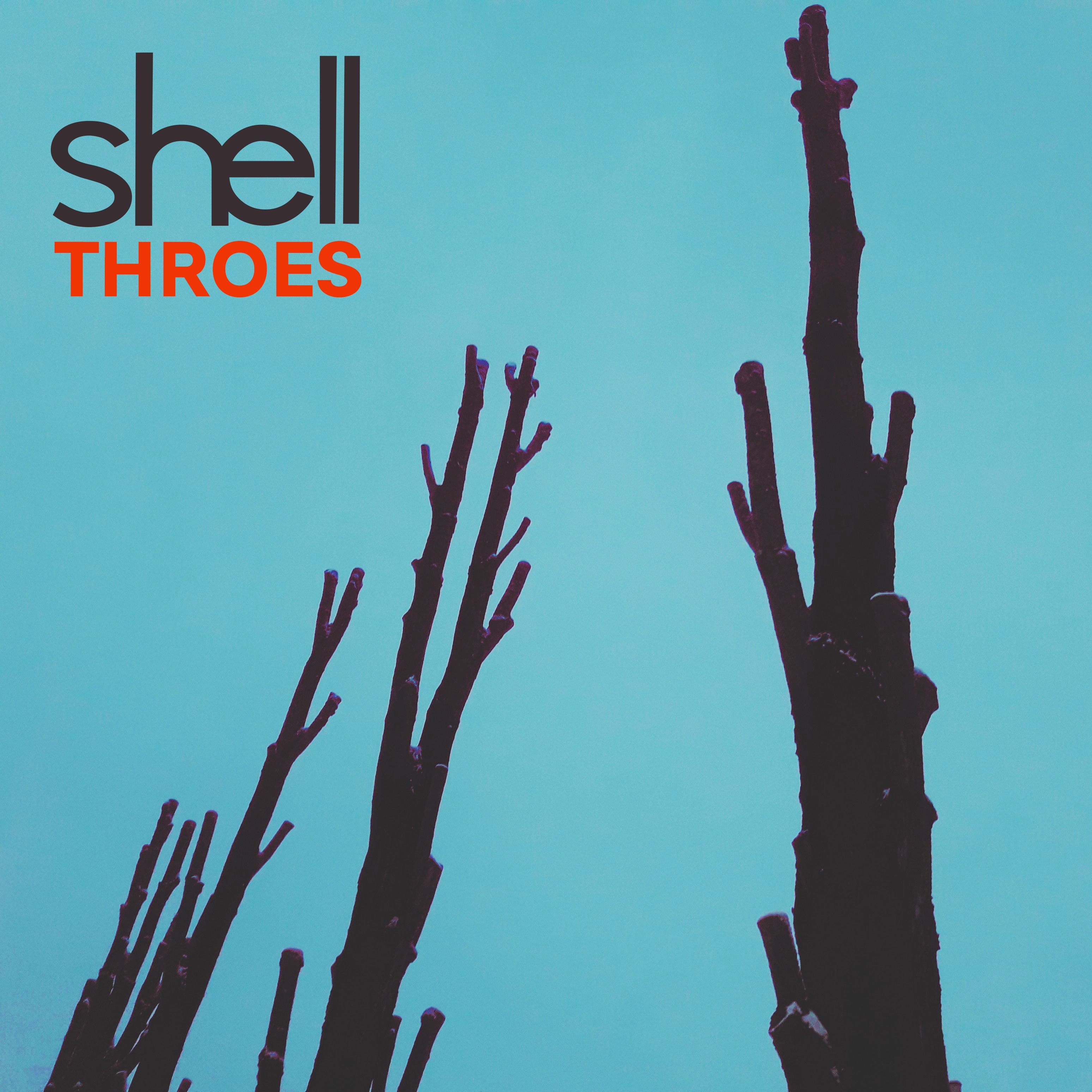 Shell | Peperton